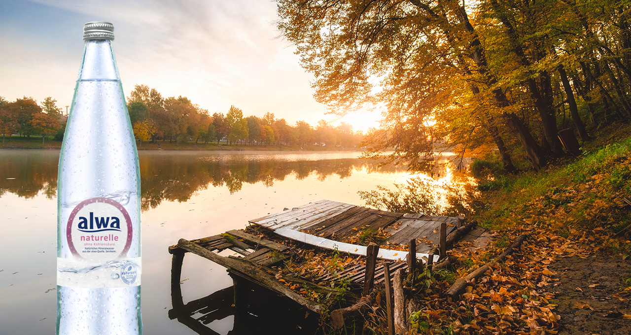 Stilles Wasser alwa naturelle: Mineralwasser ohne Kohlensäure